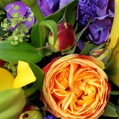 Studio Florist of Upminster - Order Online or 01708 225410